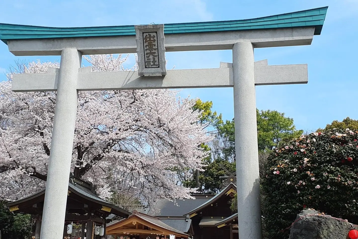 Minami Hadano Village Cherry Blossom Festival 2027