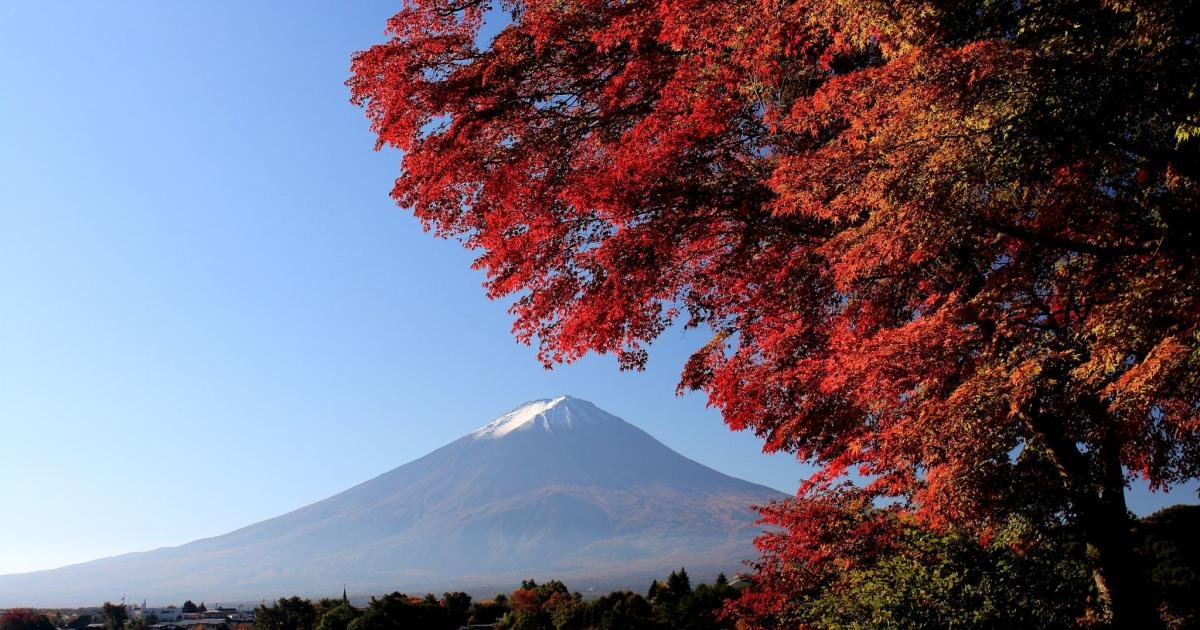 Japan's 2025 Autumn Leaves Forecast - Things to Do - Japan Travel